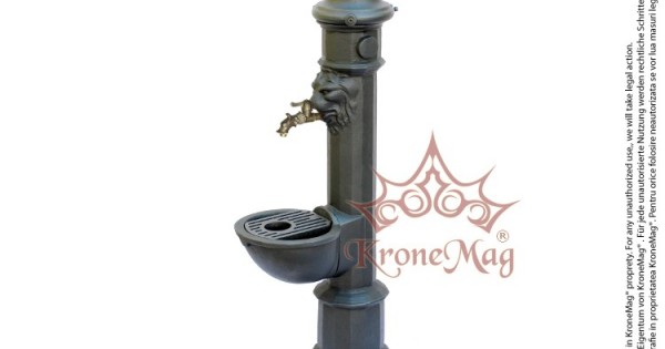 Cismea Fonta Gradina,Curte 602 - KroneMag:: KroneMag